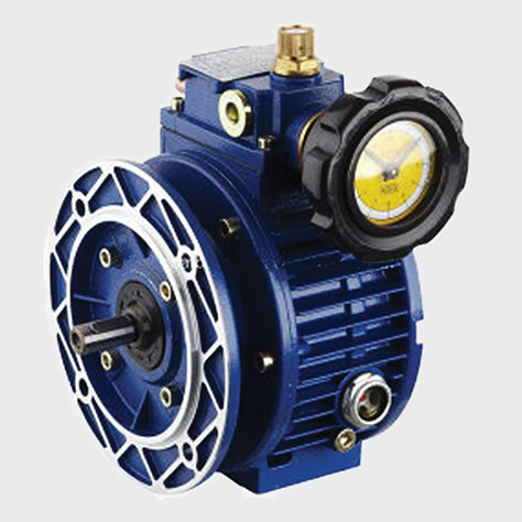 Worm Gear and speed variator
